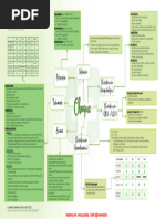 Passômetro Da Enfermagem | PDF