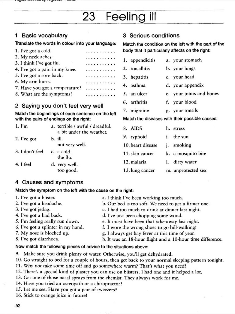 Health and Medicine Vocabulary Guide | PDF | Alternative Medicine | Thorax