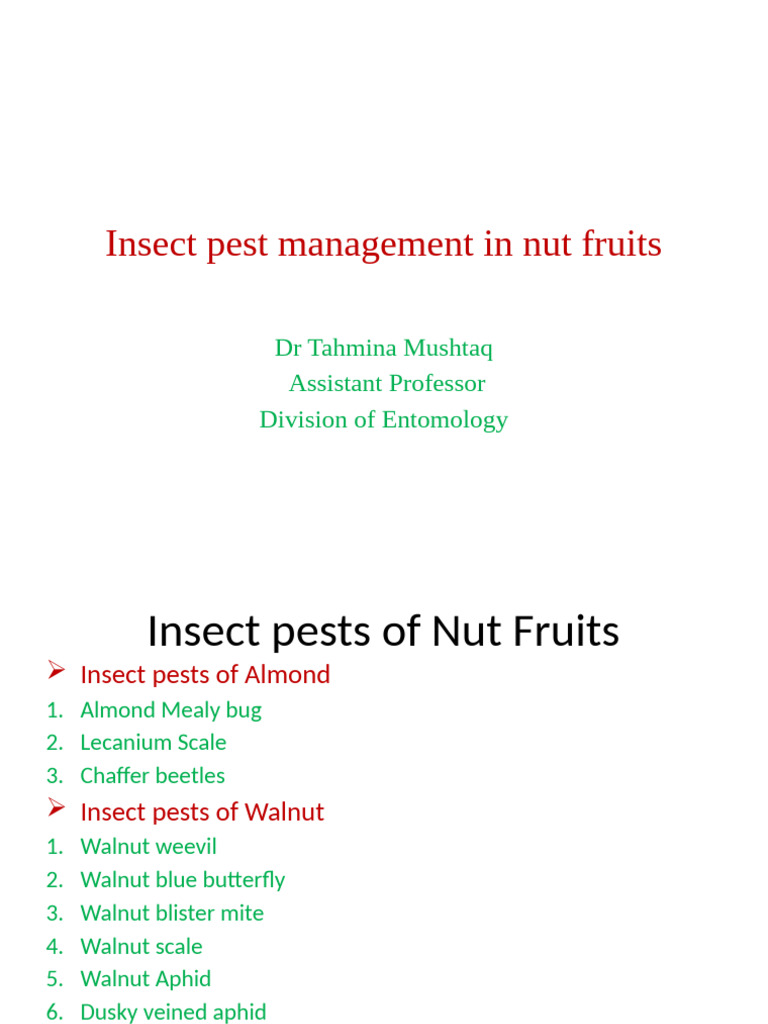 Insect Pest Management Nut Fruits | PDF | Pest (Organism) | Insects