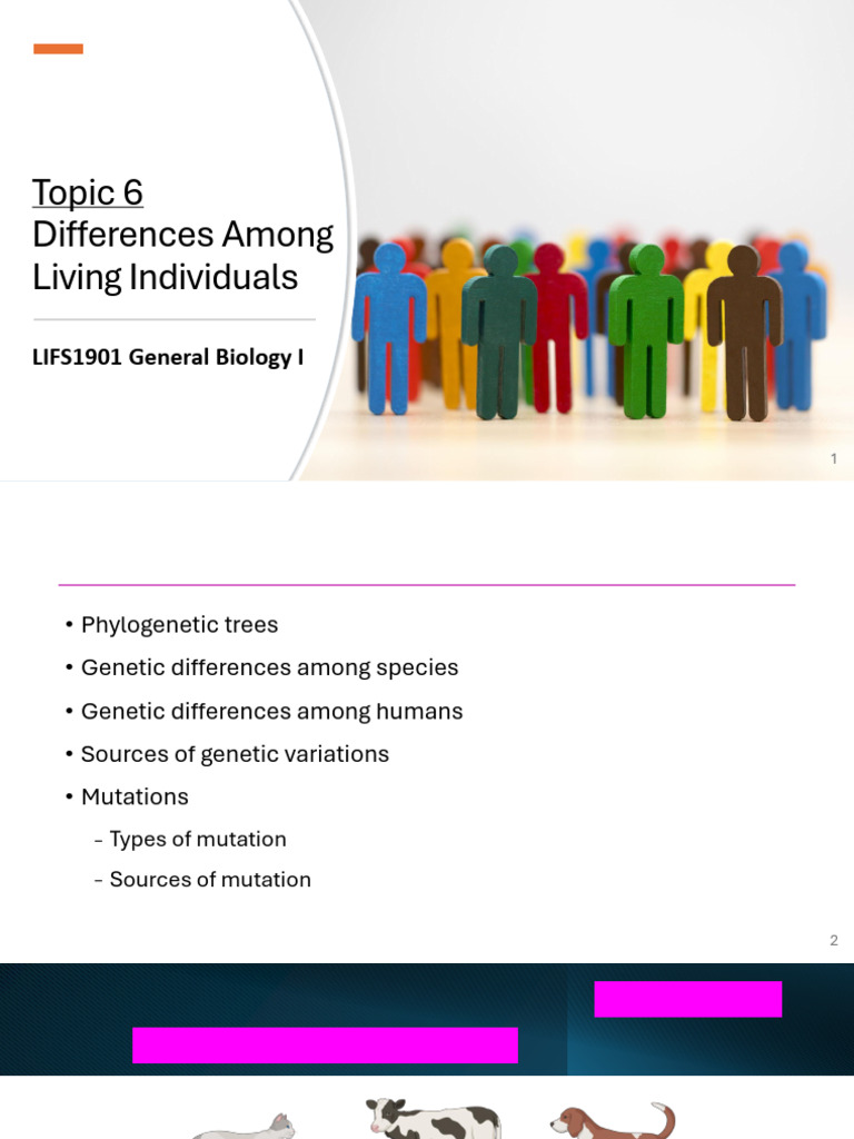 Genetic Variations in Humans and Animals | PDF | Point Mutation | Meiosis