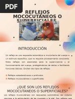 Reflejo Cremasterico | PDF