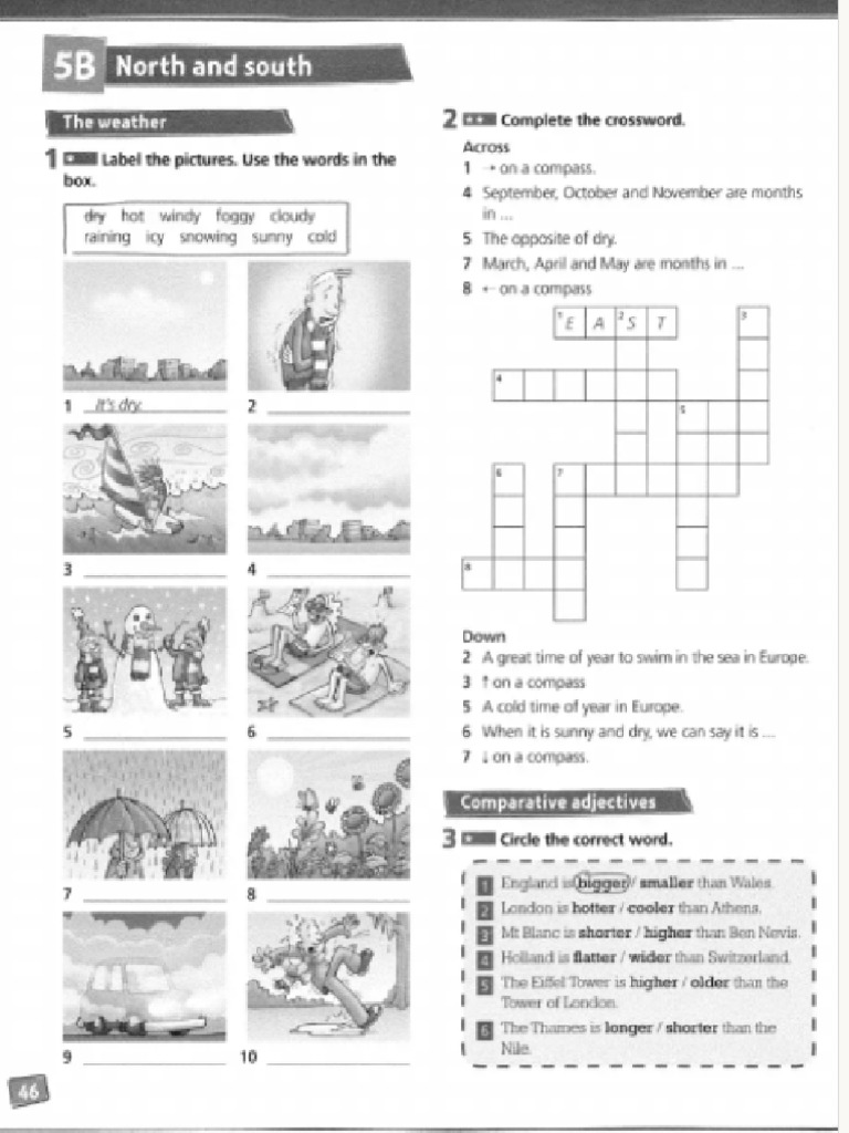 P 46 | PDF