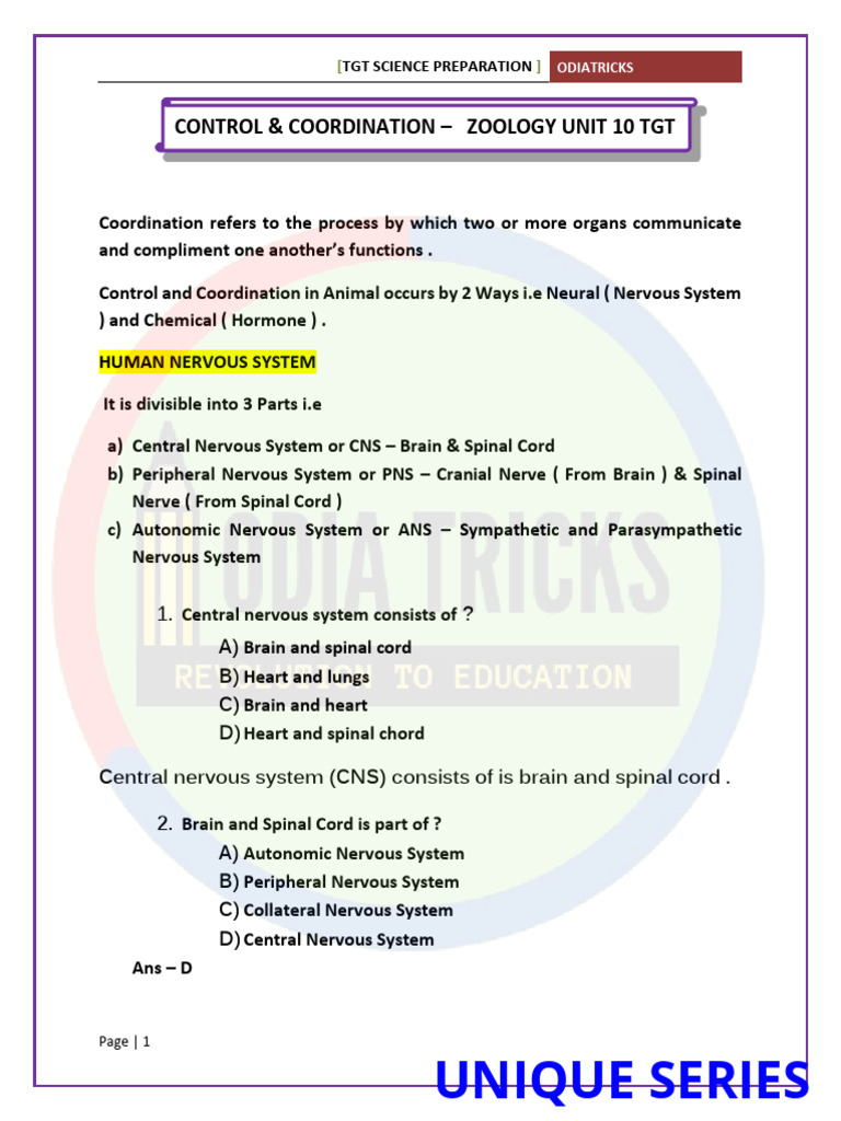 Control and Coordination COMPLETE | PDF | Neuron | Axon
