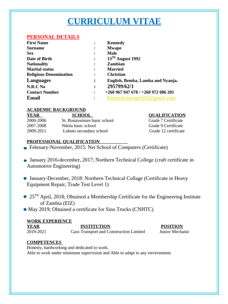 Curriculum Vitae Bertha Longa NM | PDF