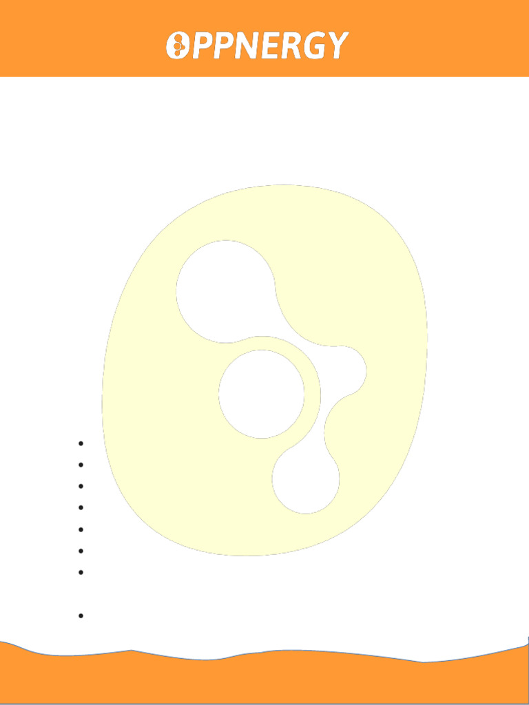 Oppnergy Level 1 Curriculum (Revised) (1) - 085802 | PDF | Data | Public Speaking