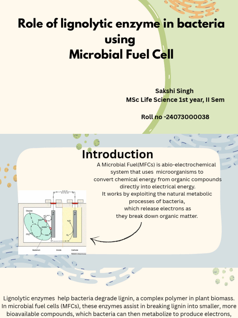Exploring Cells in Detail Education Presentation in 0 Hand Drawn ...