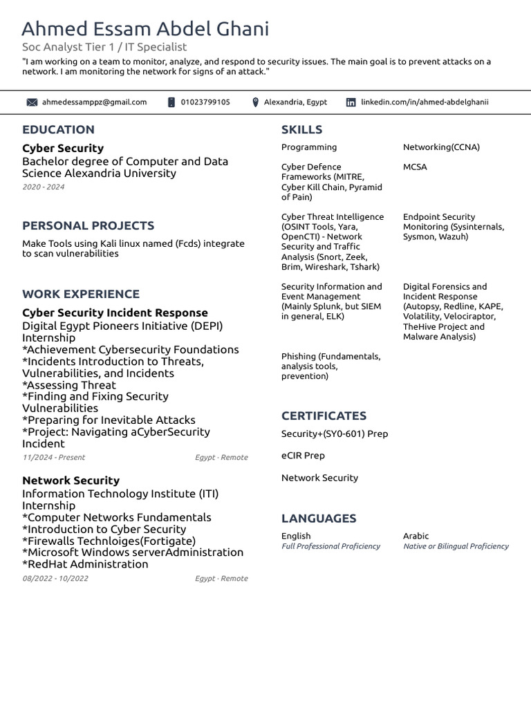 Ahmed Essam Cv0 | PDF | Security | Computer Security