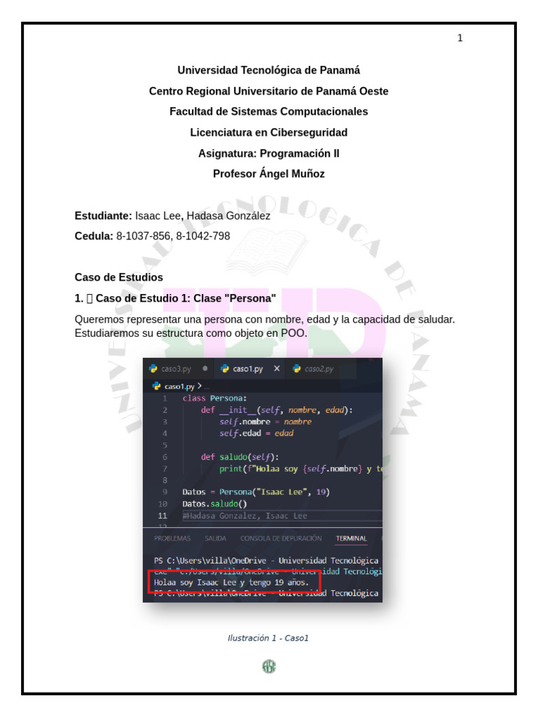 Caso de Estudio - Programacion 2 | PDF | Constructor (Programación Orientada a Objetos ...