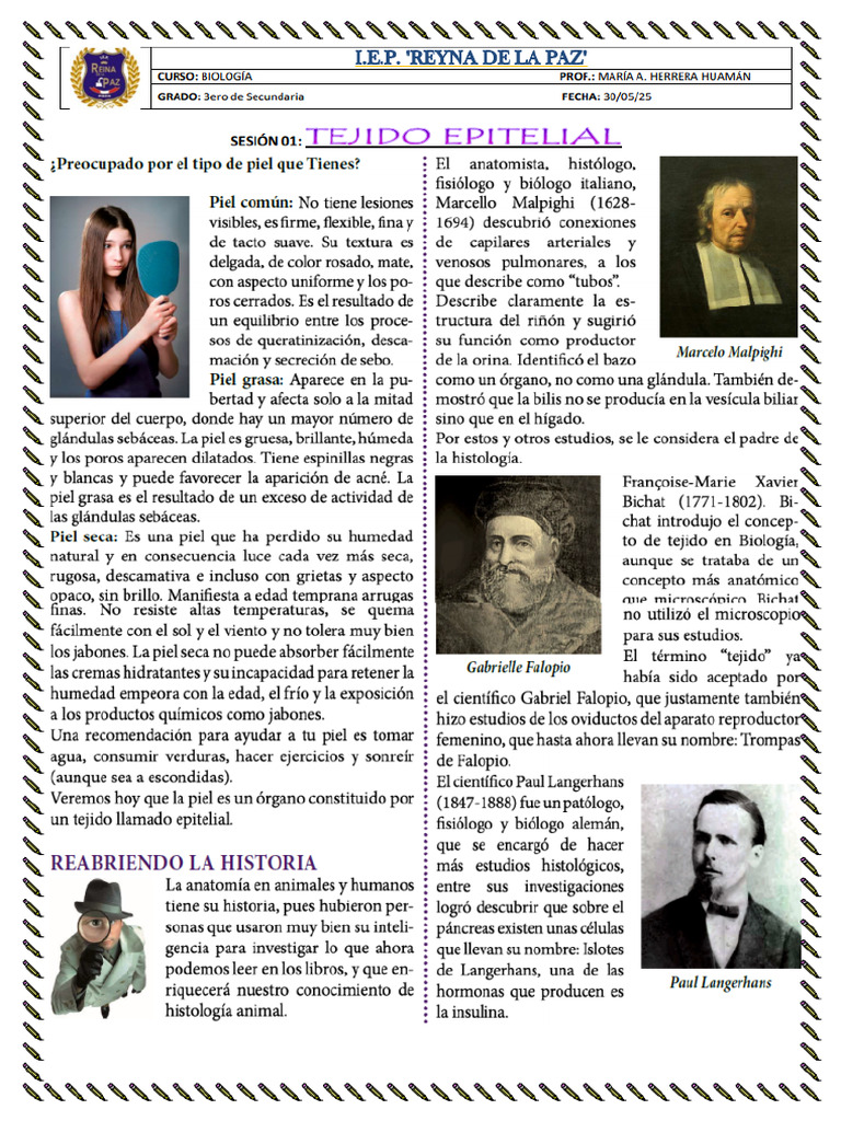 Tejido Epitelial-Biología 3ero | PDF