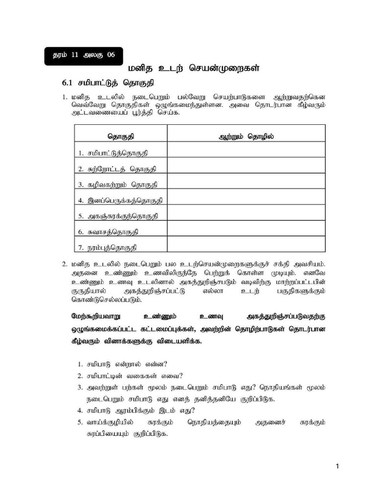 Grade 11 Unit 6 | PDF