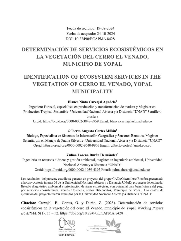 Publicación Cerro El Venado 1 | PDF