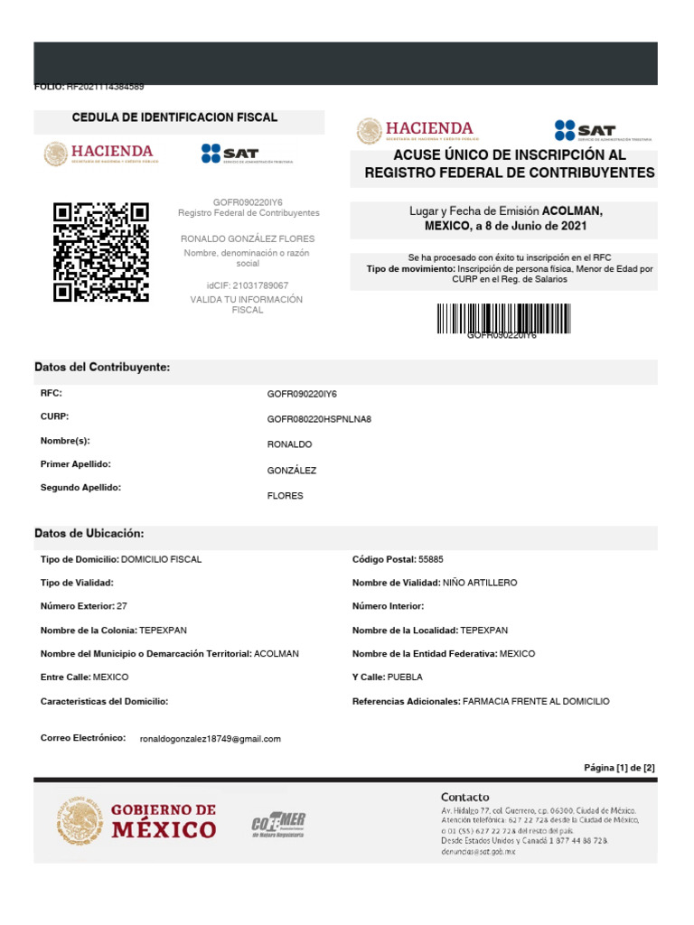 RFC Editable PDF | PDF | Ciudadanía
