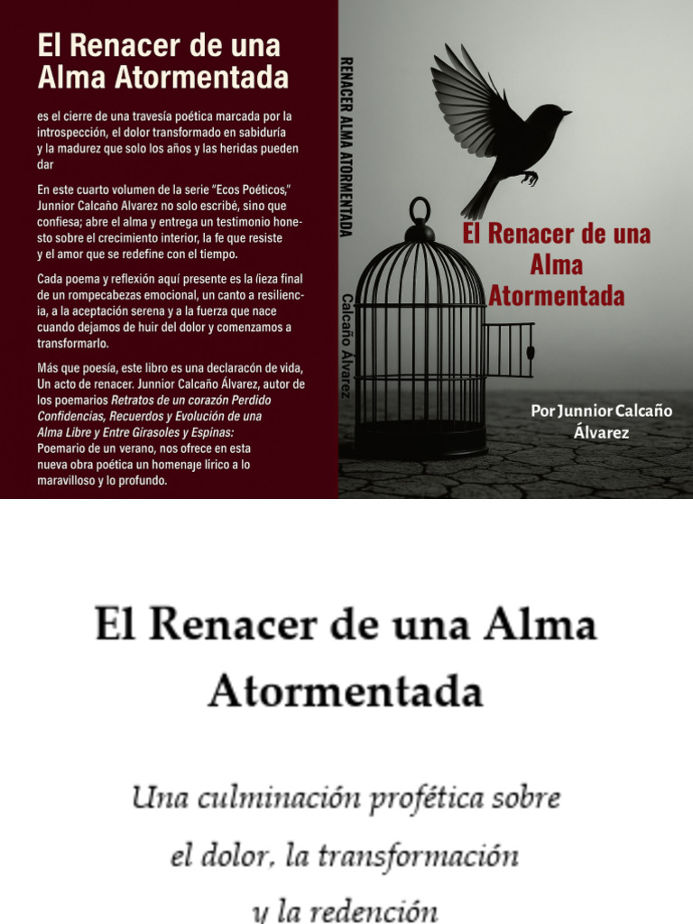 Junnior Calcaño Álvarez - El Renacer de Una Alma Atormentada | PDF ...