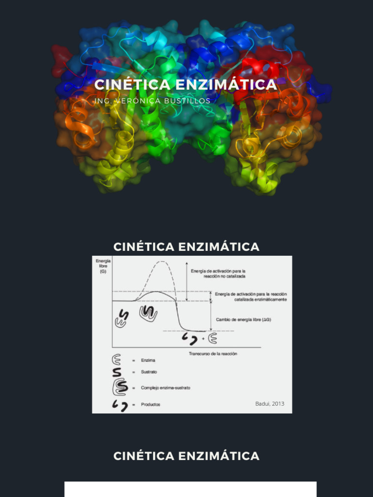 Cinética Enzimática | PDF