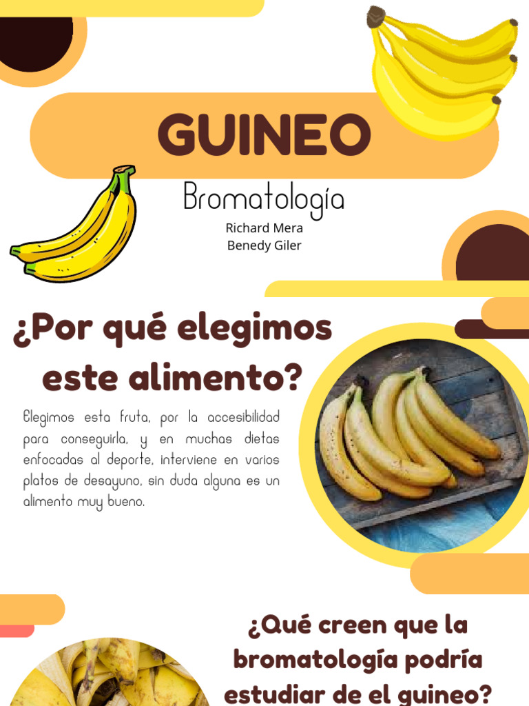 Beneficios del Guineo en la Nutrición | PDF