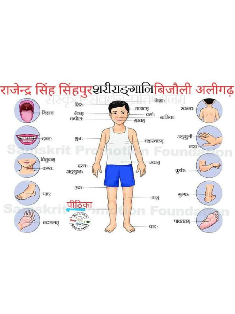 Sanskrit Body Parts | PDF