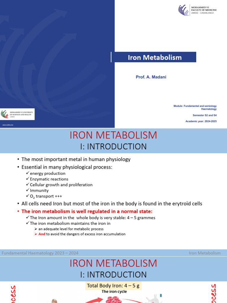 Understanding Iron Metabolism in Humans | PDF | Iron | Metabolism