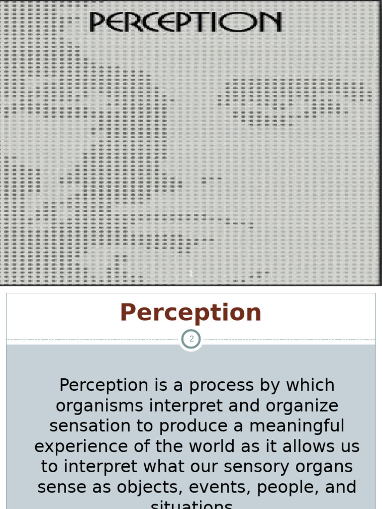 Understanding Perception Processes | PDF | Perception | Senses