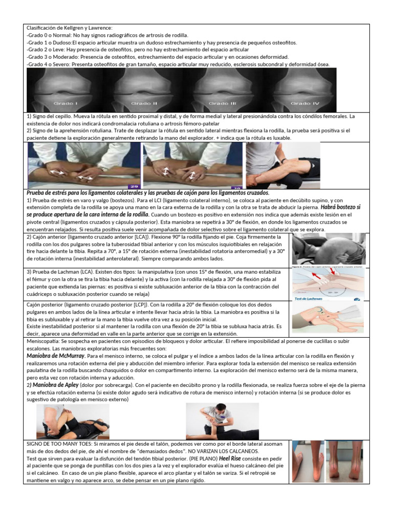 Pruebas Ortopedicas Rodilla Pdf Rodilla Pie
