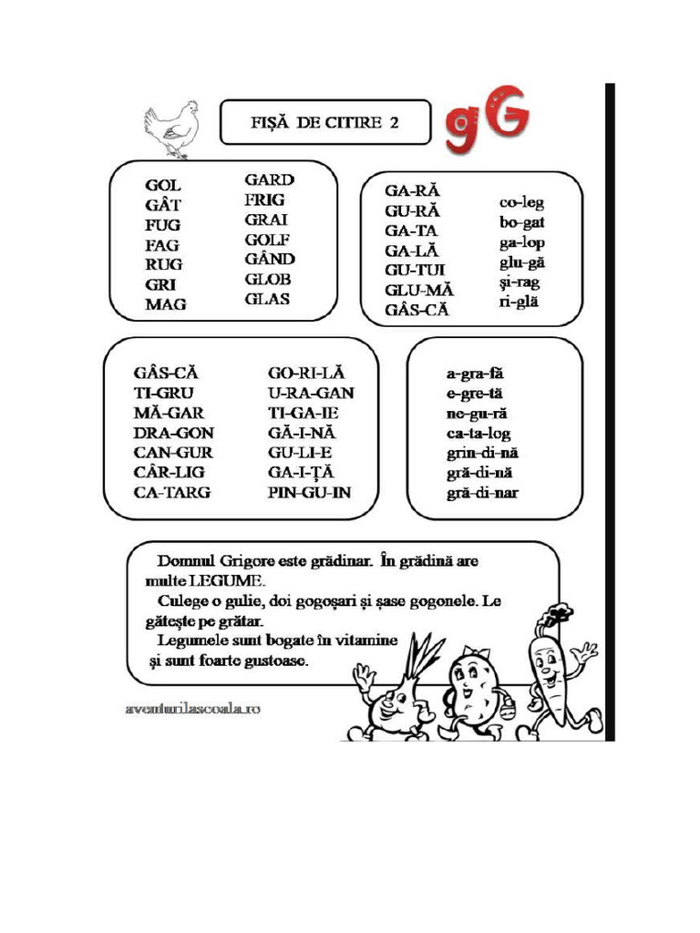 Litera G | PDF