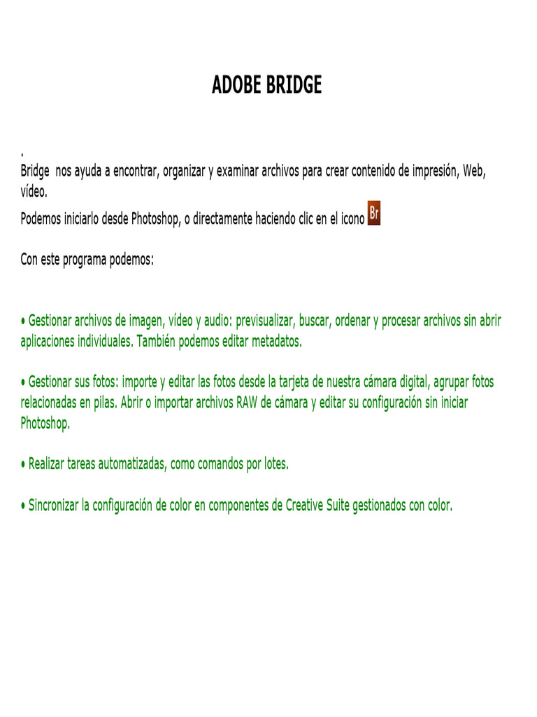6.adobe Bridge | PDF | Archivo de computadora | Adobe Photoshop