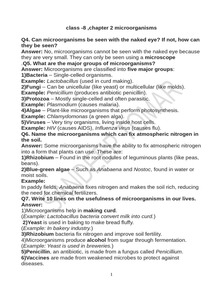 Class - 8, Chapter 2 Microorganisms | PDF | Microorganism | Bacteria