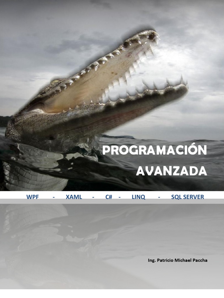 Programacion Avanzada - BOOK | Fundación de presentación de Windows ...