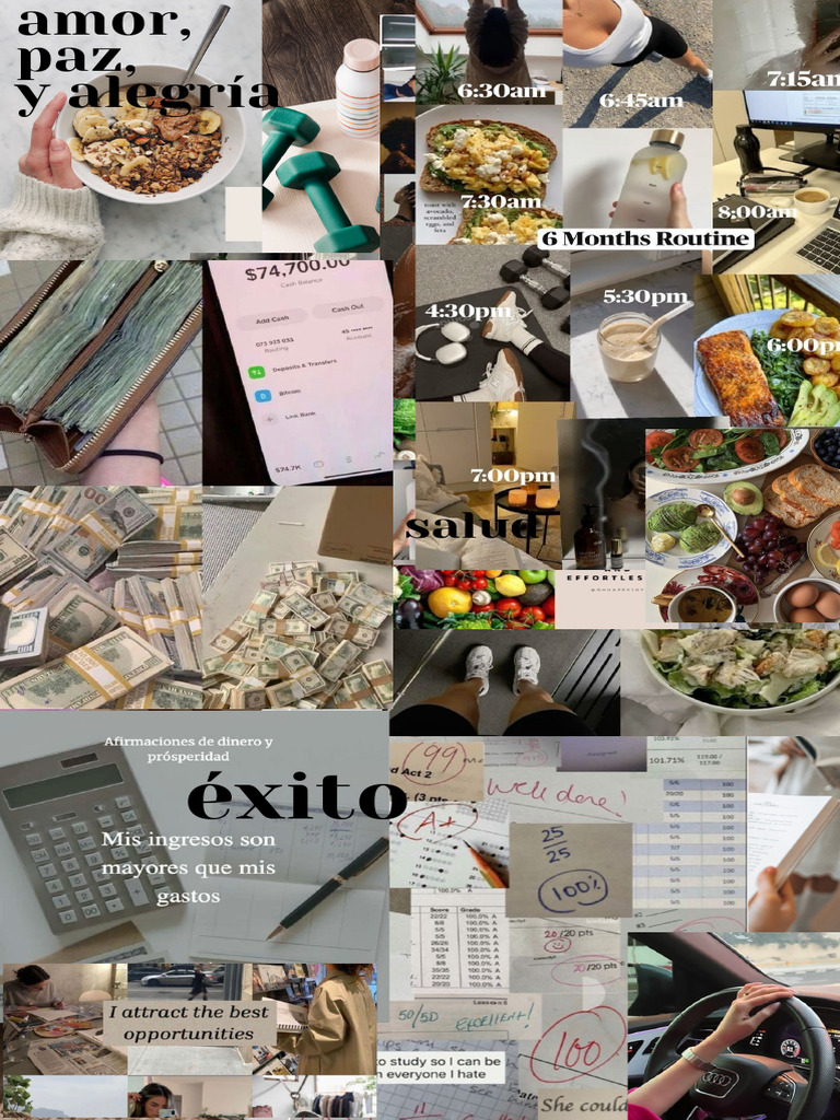 Vision Board Collage Elegante | PDF