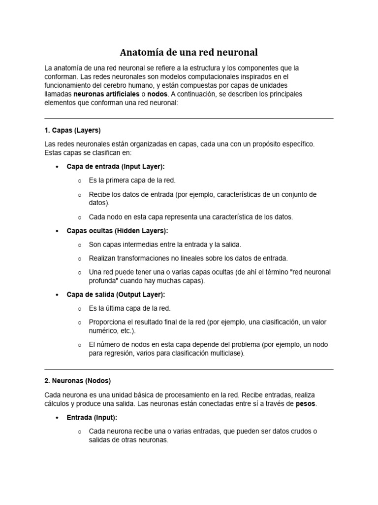 Anatomía de Una Red Neuronal | PDF | Aprendizaje | Ciencia computacional