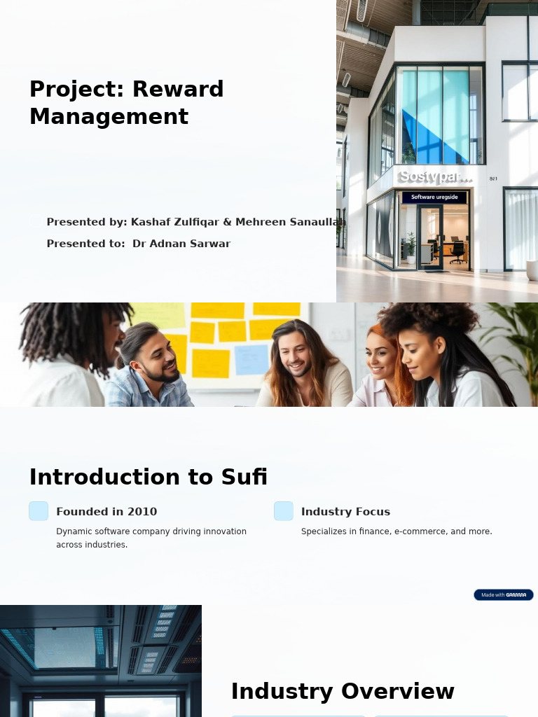 Reward Management Strategies Overview | PDF
