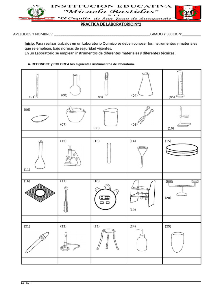 Instrumentos de Laboratorio | PDF