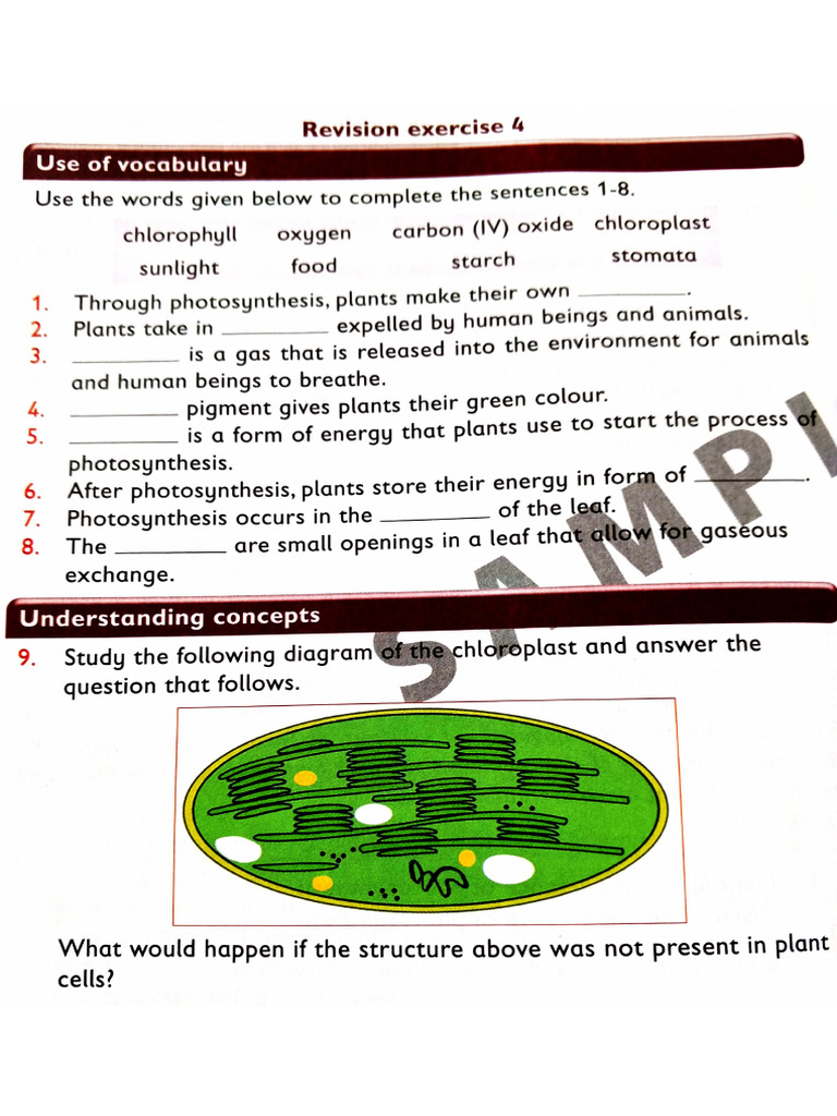Document 6 | PDF