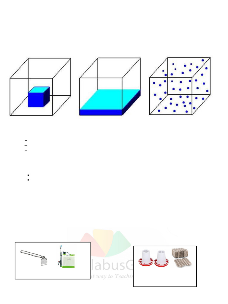 2025 Grandiose Mock - Science 2 Solution | PDF | Ion | Atoms