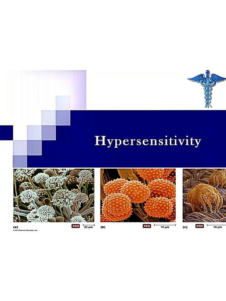Hypersensitivity | PDF