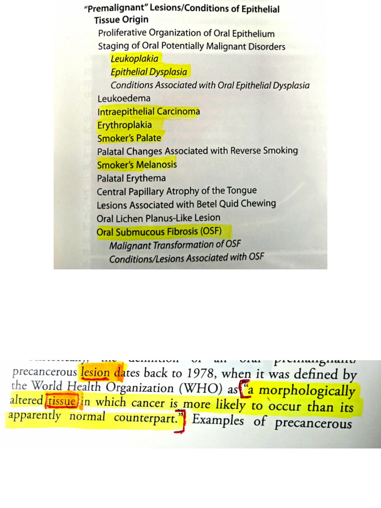 5th C, 9M, 1Q, OSF | PDF