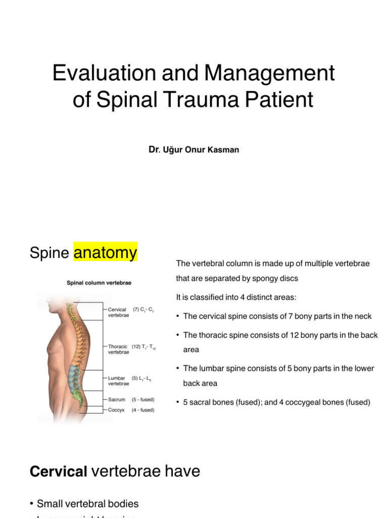 Spine Trauma | PDF