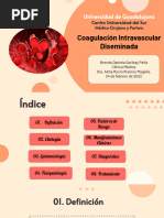 Nuevos criterios diagnósticos para CID | PDF