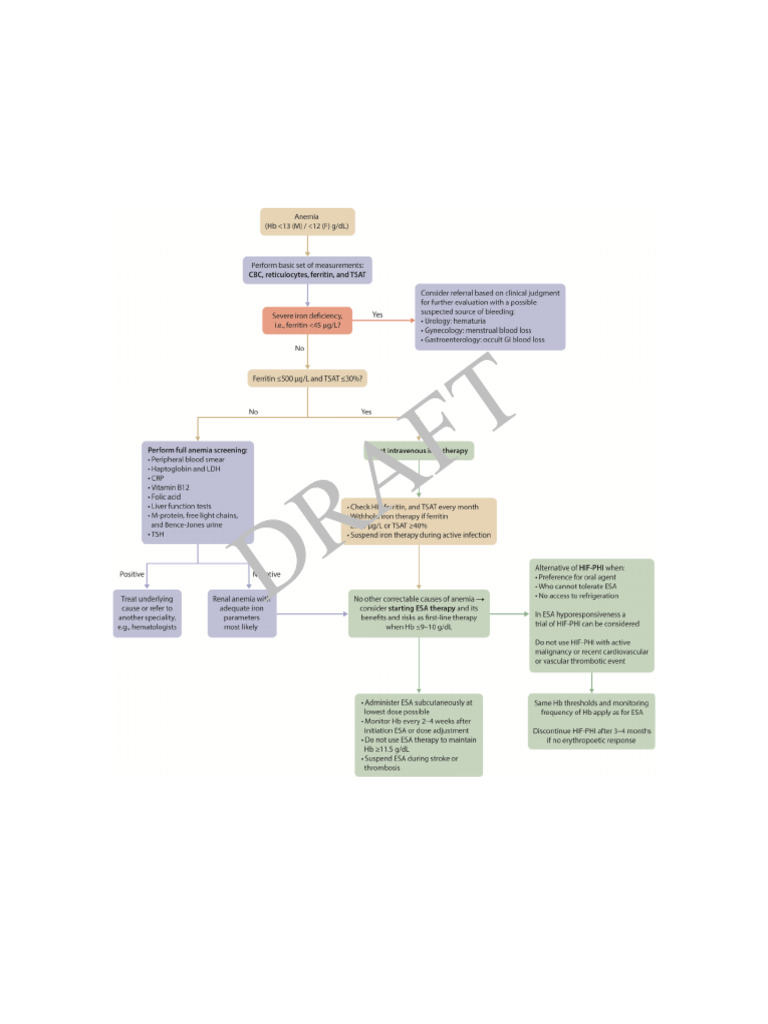 KDIGO 2025 Anemia (152 156) | PDF