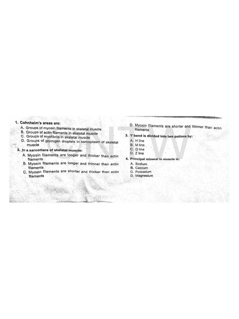 Human Physiology MCQ Homework (2) | PDF