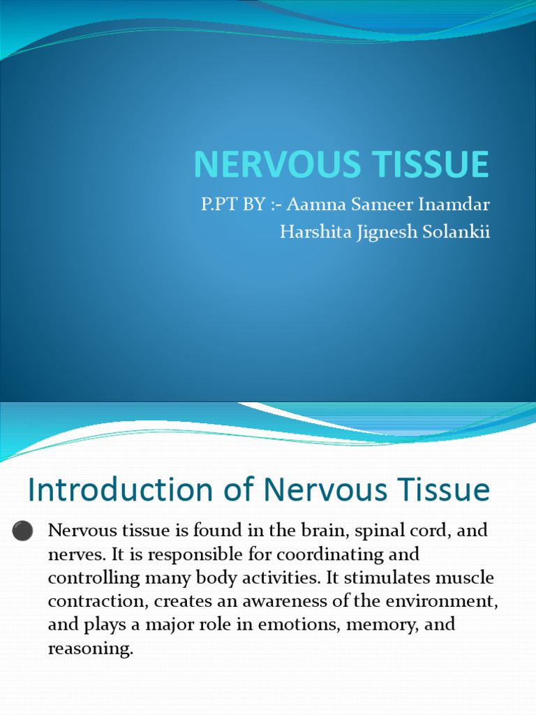 Nervous Tissue 1 | PDF
