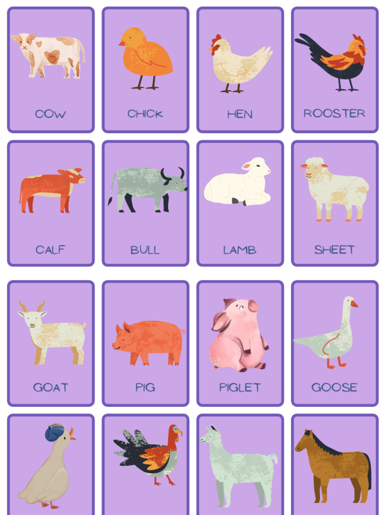 Flashcard Animales | PDF
