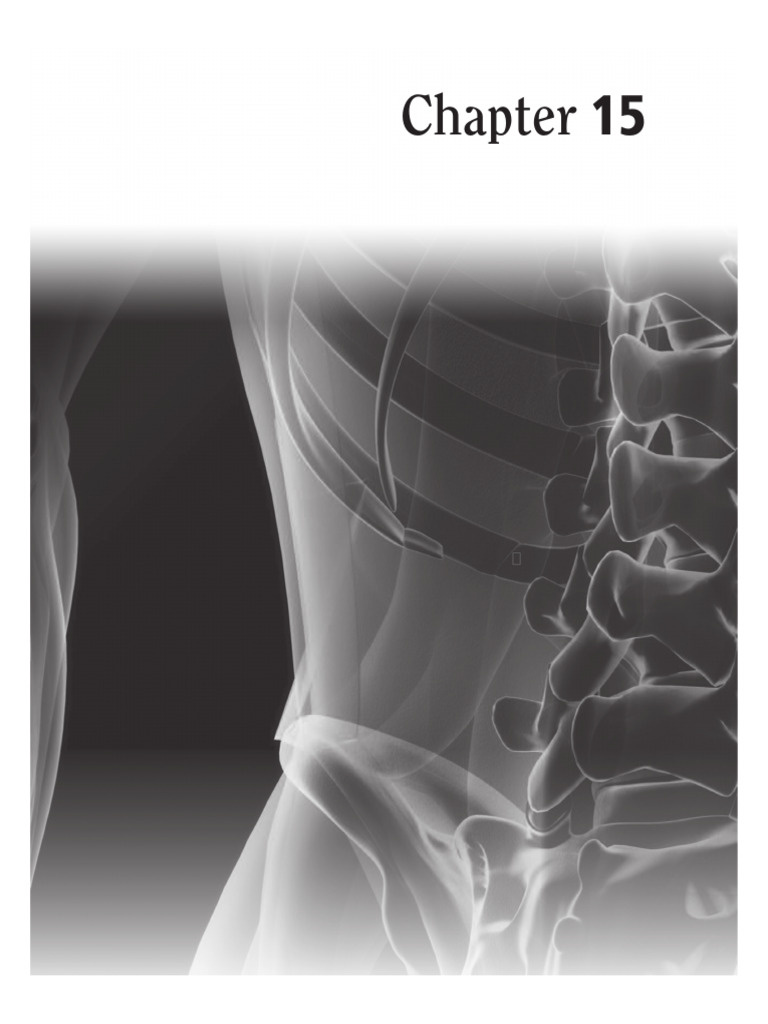 Skeletal Worksheet- Review | PDF | Bone | Anatomical Terms Of Motion