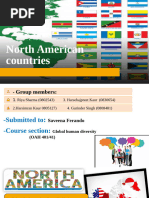 Cornell Notes Native Americans | PDF | Technology & Engineering