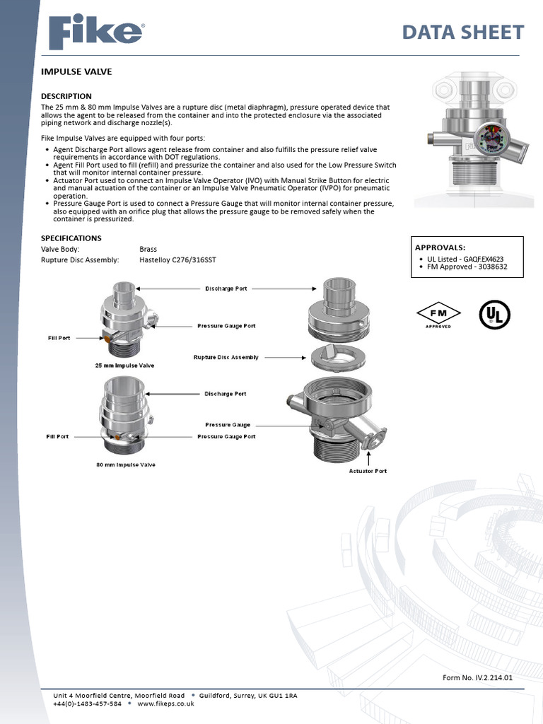 IV221401 Impulse Valve ULFM | PDF