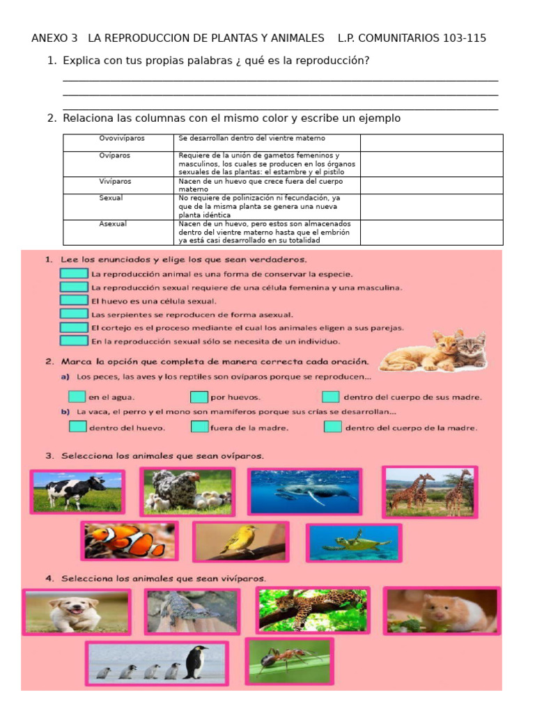 Anexo 3 La Reproduccion de Plantas y Animales | PDF