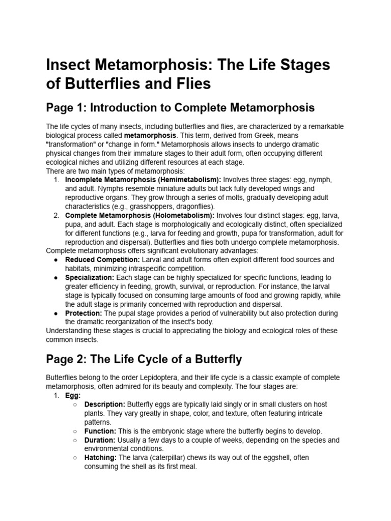 Insect Metamorphosis - The Life Stages of Butterfli... | PDF | Pupa | Fly
