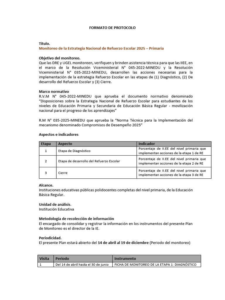 PM 282 Protocolo y Ficha para Plan de Monitoreo Refuerzo Escolar 2025 (Primaria | PDF