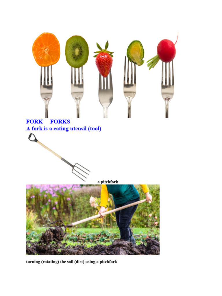 Understanding Forks: Tools and Idioms | PDF