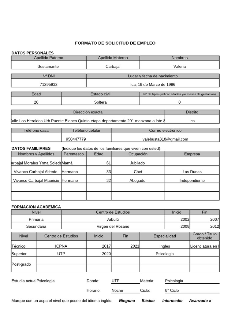 Formato de Solicitud de Empleo 2025 | PDF
