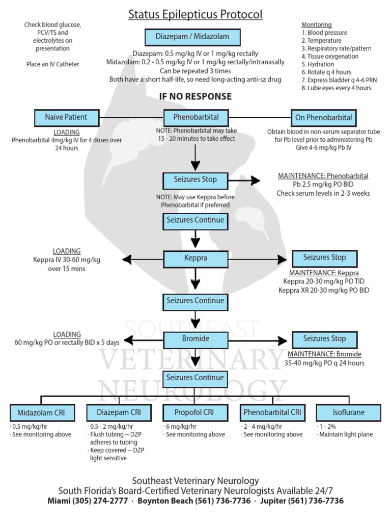 Status Epilepticus Protocol | PDF | Midazolam | Clinical Medicine